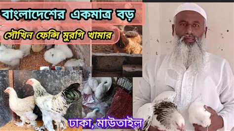 ব্রাহমা মুরগি দাম জানুন সরকারি খামারে থেকা ব্রাহমামুরগি মুরগির খামার Chicken Youtube