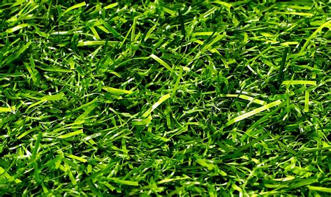 Искусственная трава Premium Grass Comfort 20 Green, цена 636 руб ...