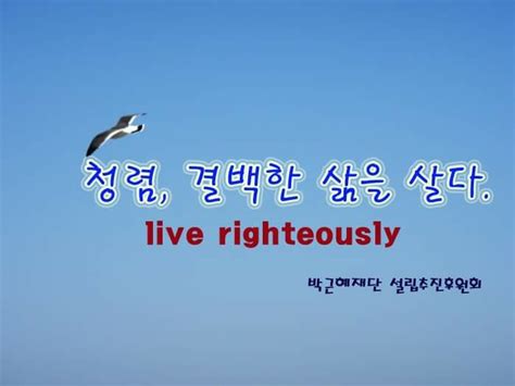 박근혜재단설립추진후원회 BAND