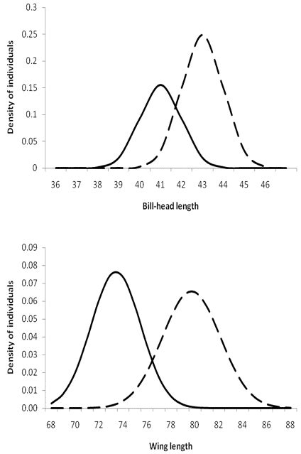 Normal Density Curves For Bill Head Length Mm On The Fleurieu