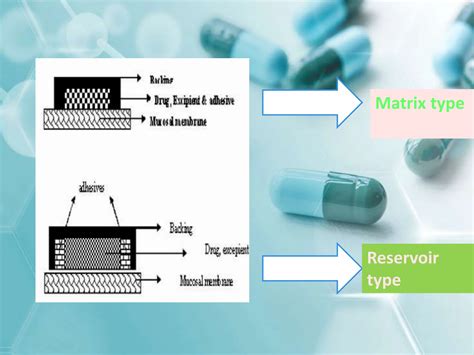 Formulation Of Buccal Drug Delivery System Pptx