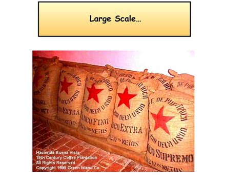 Bioinformatics Database Tool For Protein Sequence Pptx