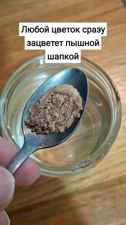 Любой цветок сразу зацветет пышной шапкой цветы герань сад огород