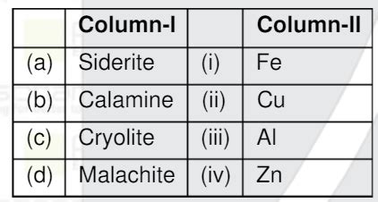 Match The Column