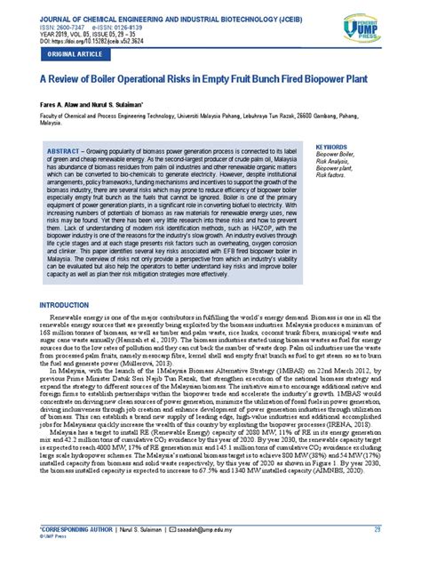Efb As Fuel For Biomass Boilers Pdf Pdf Boiler Steam
