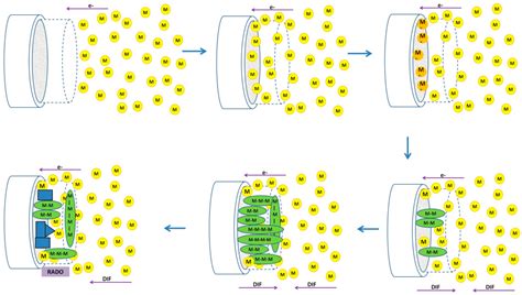 Polymers Free Full Text Nanostructured Conducting Polymers And Their Applications In Energy