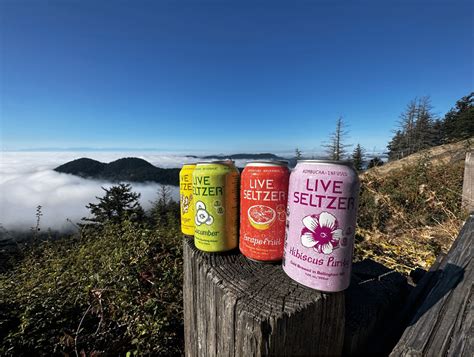 The Health Benefits Of Drinking Kombucha