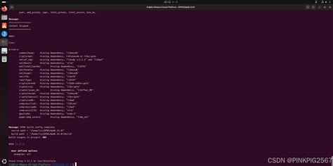 Ubuntu 虚拟机 Dpdk 协议栈开发 1、环境搭建 虚拟端口测试dpdk 2507 Ubuntu 编译 Csdn博客