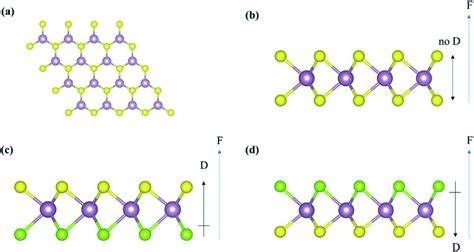 A Top View Of The Optimized Tmds Monolayers With The 2h Phase B