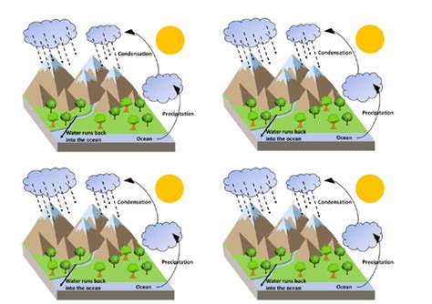 Ks4 Aqa Gcse Biology Science Water Cycle Lesson And Activities