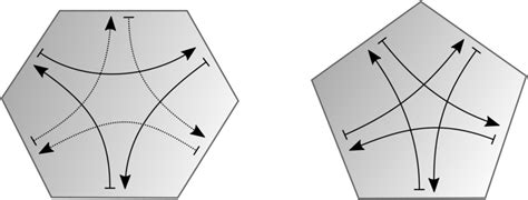 In These Pictures We See How The Connection Acts On The Edges Within Download Scientific