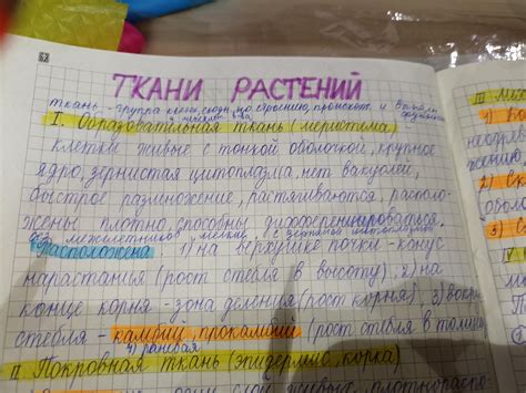 Назовите виды и функции образующей ткани Назовите основные основные виды тканей и их функции