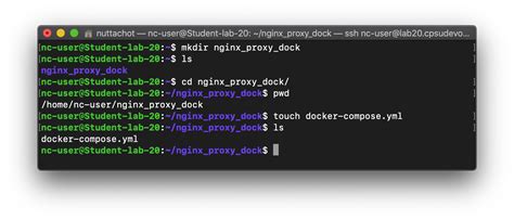 วิธีติดตั้ง Vps และ Lets Encrypt ด้วย Docker Container แบบง่ายๆ