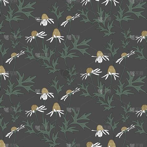 花样背景与洋甘菊