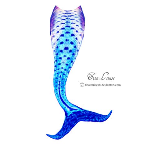 Tall Clipart Tail Picture 2108804 Tall Clipart Tail