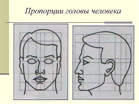 Пособия по основам рисунка Рисунок головы человека с гипсового образца