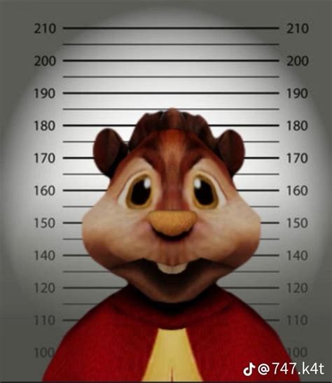 Pin On Really Funny Pictures