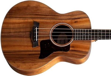 11 Best Acoustic Bass Guitars Ultimate List