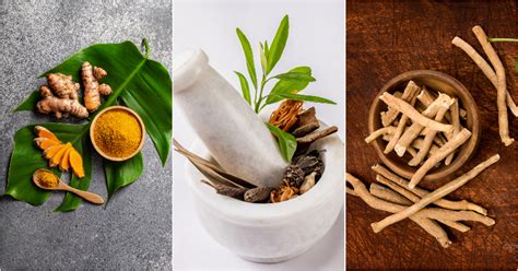 4 Powerful Ayurvedic Herbs To Improve Brain Function And Memory