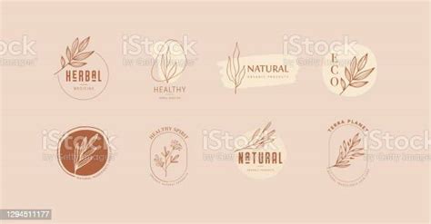 섬세한 손으로 그린 로고와 유기농 식품 농장 신선 하고 천연 제품 식품 시장을 위한 요소 컬렉션 유기농 제품 홍보 건강한 삶 및 프리미엄 품질의 식품 및 음료 컬렉션 건강한