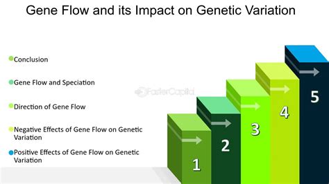 Gene Flow Definition And Example Genetic Variation Definition