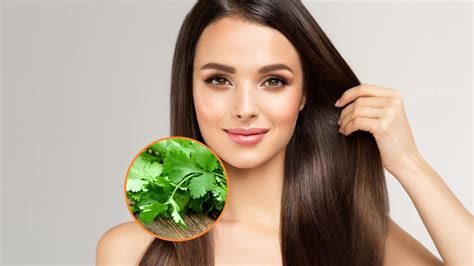 3 Unique Benefits Of Coriander Leaves For Hair Herzindagi
