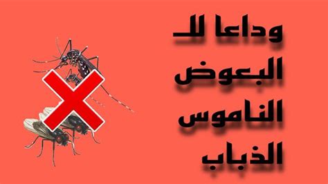 أفضل طريقة لطرد الناموس و البعوض و الذباب بدون مواد كيميائية أو طبيعية