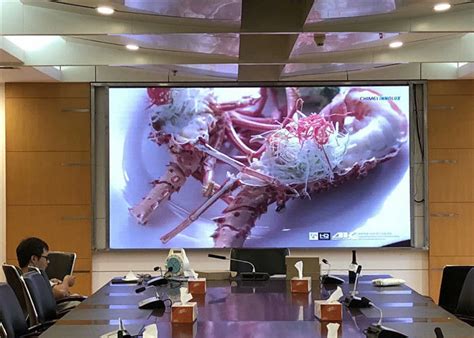 Indoor Small Pixel Pitch Led Display Screen P1 25 Die Casting Aluminum