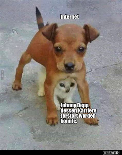 Internet Johnny Depp Dessen Karriere Zerstört Werden Debestede