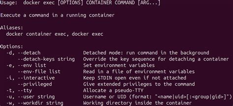 How To Use Docker Exec Command