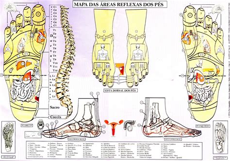 Reflexologia Brasília Reflexology Brasilia Reflexzonenmassage