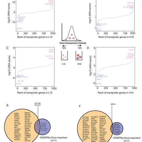 Qpcr Relative Quantitative Standardization Results Compared With The
