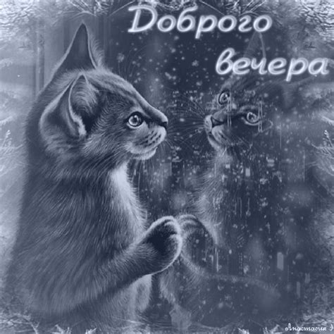 Анимационная картинка открытка Доброго вечера Котёнок Гиф 210714