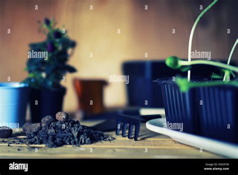 Seedling Pots Land Stock Photo Alamy