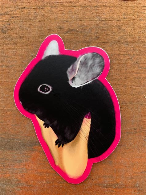Chinchilla Love Stickers Etsy