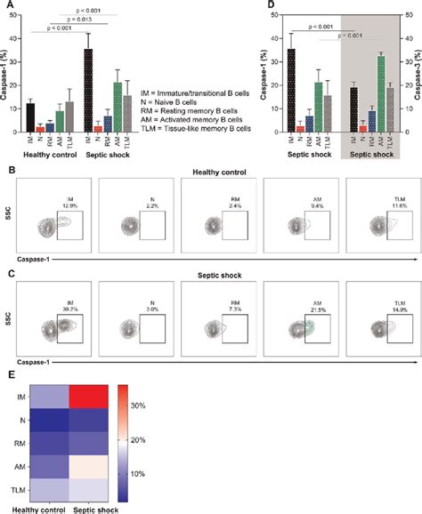 Activated Caspase 1 Expression In B Cell Subsets Activated Caspase 1