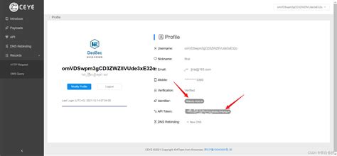 log4j 远程代码执行漏洞检测 fofa搜索log4j漏洞 csdn博客