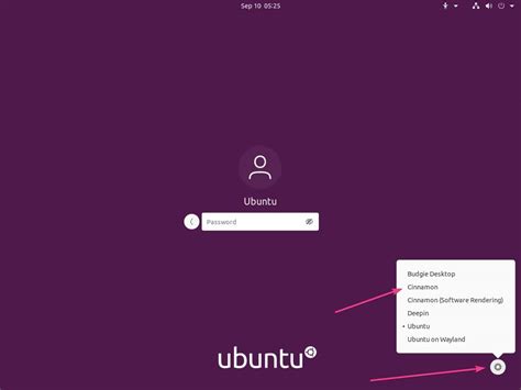 How To Install Cinnamon Desktop Environment On Ubuntu LTS