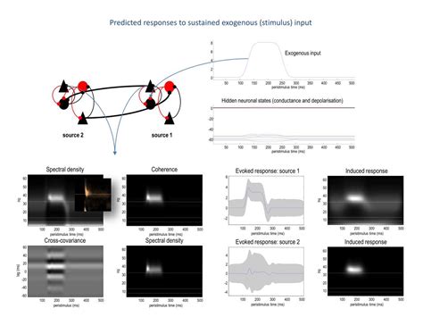 Ppt Dynamic Causal Modelling Of Electromagnetic Responses Powerpoint Presentation Id 1879996