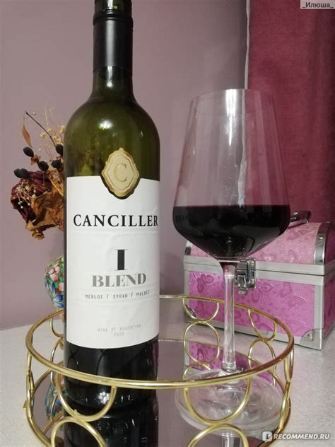 Вино красное сухое Canciller i blend Мерло Сира Мальбек - «💘Напиток для ...