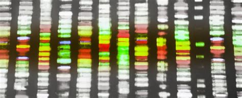 DNA Test Claims To Predict Sexual Orientation But Experts Advise Caution ScienceAlert