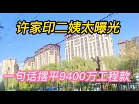 许家印许家印二姨太浮出水面一句话摆平9400万工程款 许家印 恒大 恒大 恒大许家印 恒大债务 恒大歌舞团 恒大老板