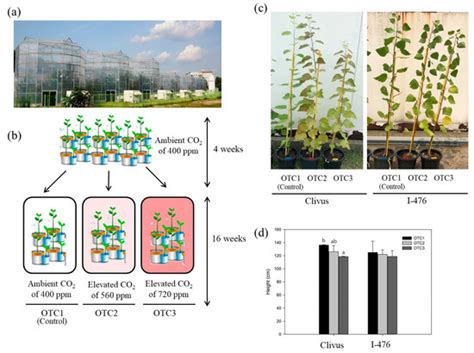 Forests Special Issue Impacts Of Climate Change On Tree Physiology And Responses Of Forest
