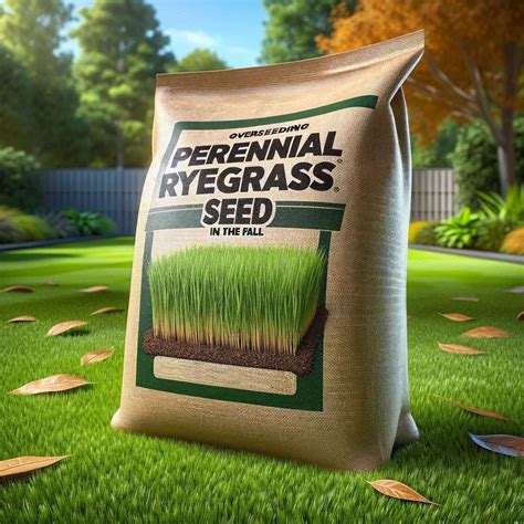 Overseeding Year Round Green Lawns In Southern Utah
