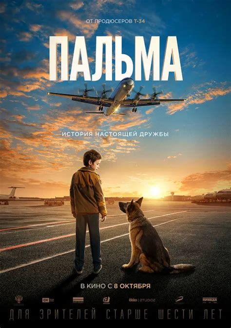 忠犬帕尔玛图册360百科