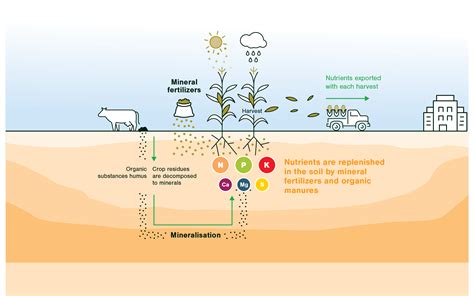 Randd Project Fertimanure Supporting Innovative Nutrient Recovery