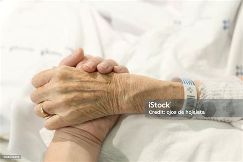 노인 여성은 병원에서 친척의 손을 잡고 있습니다 병원 침대에서 간호사의 손을 잡고 있는 여자 노인 여성 늙은 주름진 피부와
