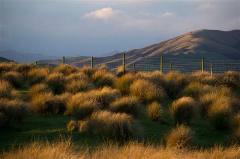 New Zealand
