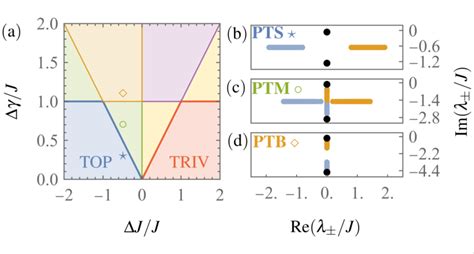 A Dynamical Phase Diagram Of The Driven Dissipative Ssh Model With