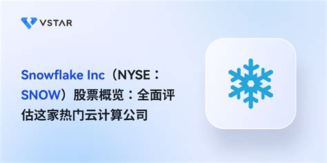 Snowflake Inc（nyse：snow）股票概览：全面评估这家热门云计算公司